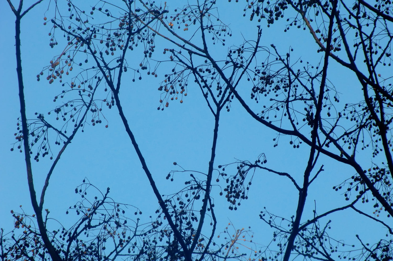 About the materials I work with – Paraiso Prints